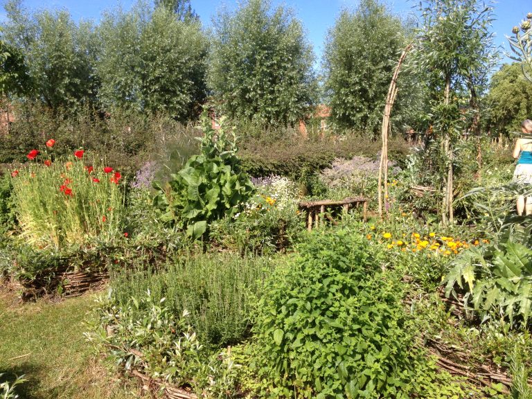 Rondleidingen Park Matilo – Plant-Aardig